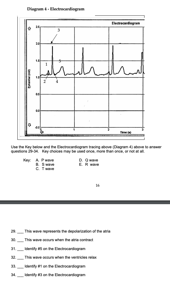 Solved Diagram 4 - Electrocardiogram Electrocardiogram 2.5 3 | Chegg.com