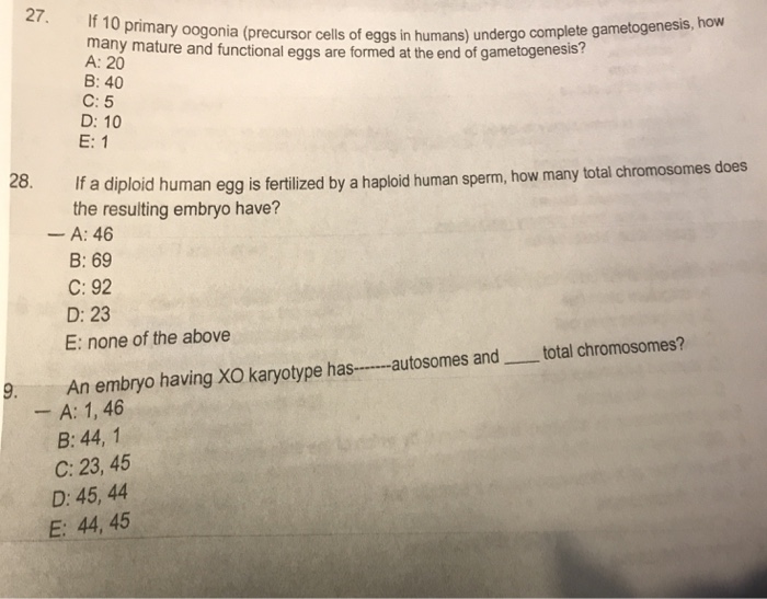 Solved 27. man primary oogonia (precursor cells of eggs in | Chegg.com