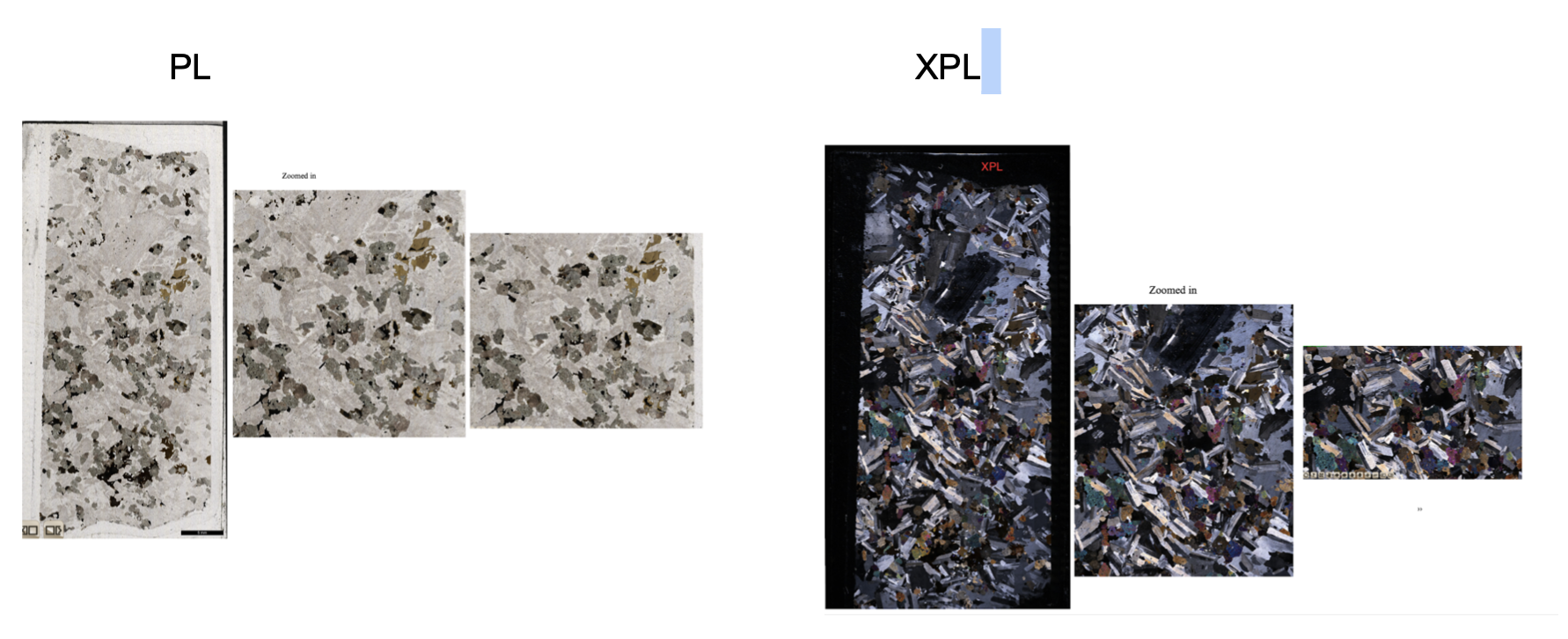 BASED on the sample pictures below, Identify the 6 | Chegg.com