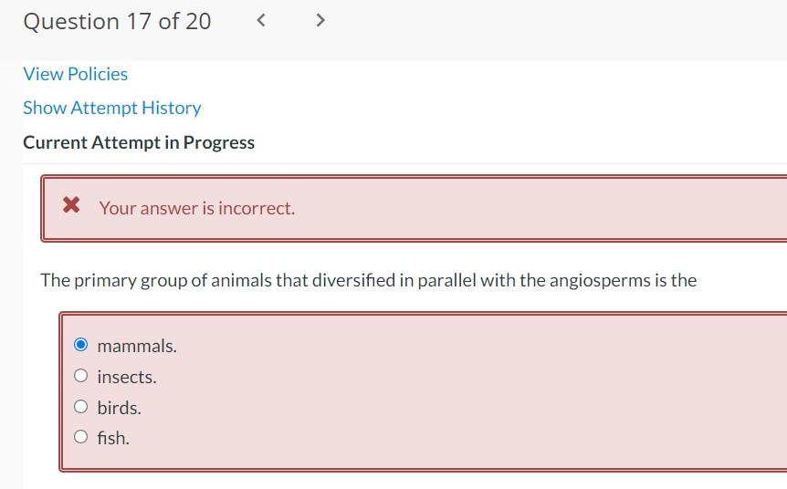 Solved Question 16 of 20 View Policies Show Attempt | Chegg.com