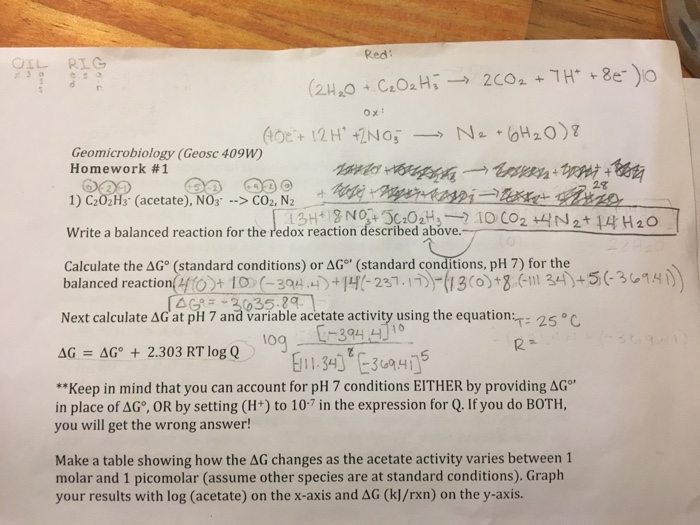 Delta G and how delta G changes as the acetate | Chegg.com