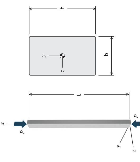Solved Determine the Euler buckling load for the compression | Chegg.com