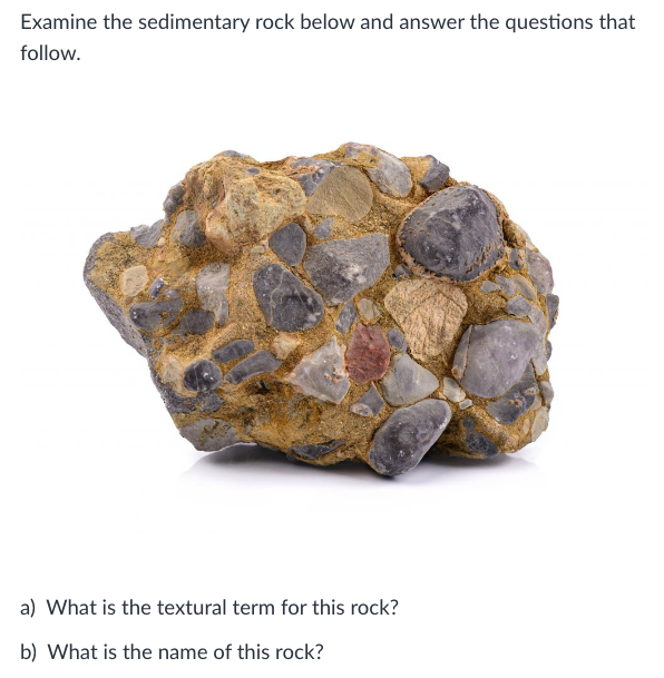 Solved Examine the sedimentary rock below and answer the | Chegg.com