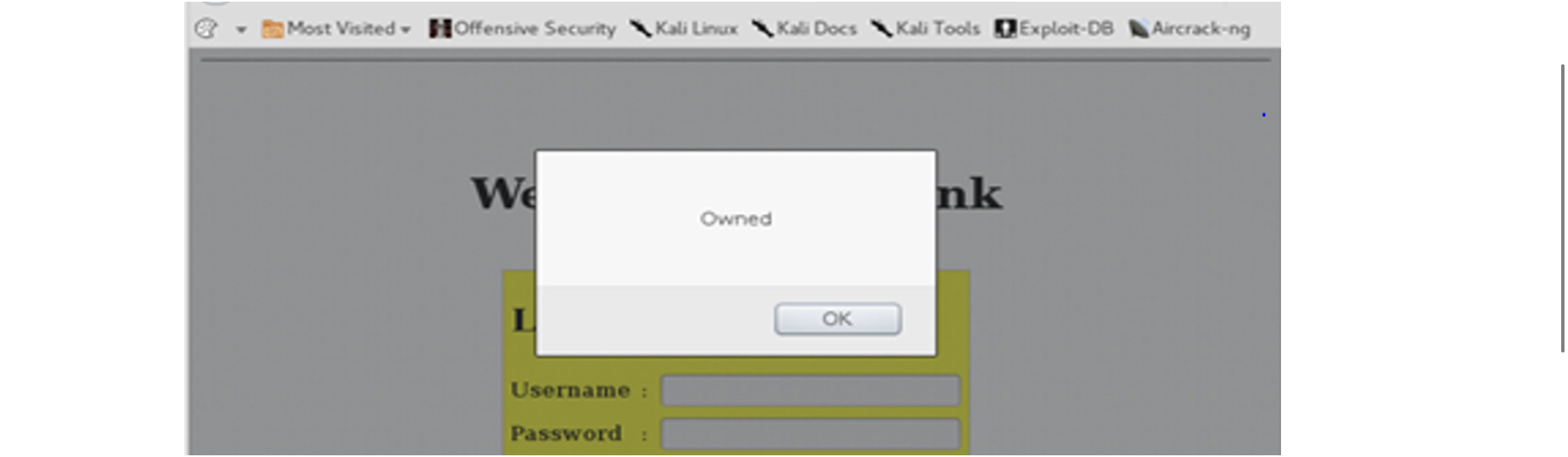 Solved Web Security classI’m having a bit of trouble getting | Chegg.com