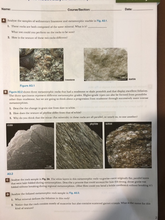 Solved Name: Course/Section: Date: A Analyze the samples of | Chegg.com