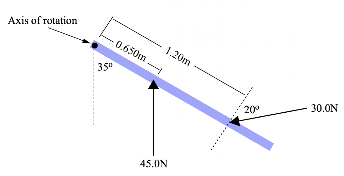 Solved What is the net torque on the rod shown in the figure | Chegg.com