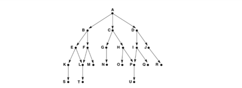Solved Using the diagram provided, assume the node P is the | Chegg.com