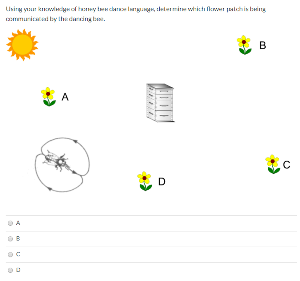 Solved Using your knowledge of honey bee dance language, | Chegg.com