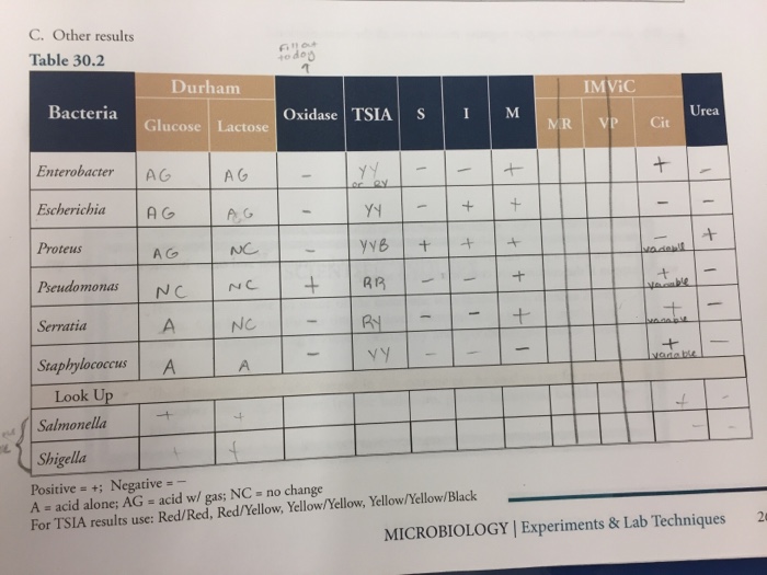 Solved C. Other results Table 30.2 Durhanm IMViC Bacteria | Chegg.com
