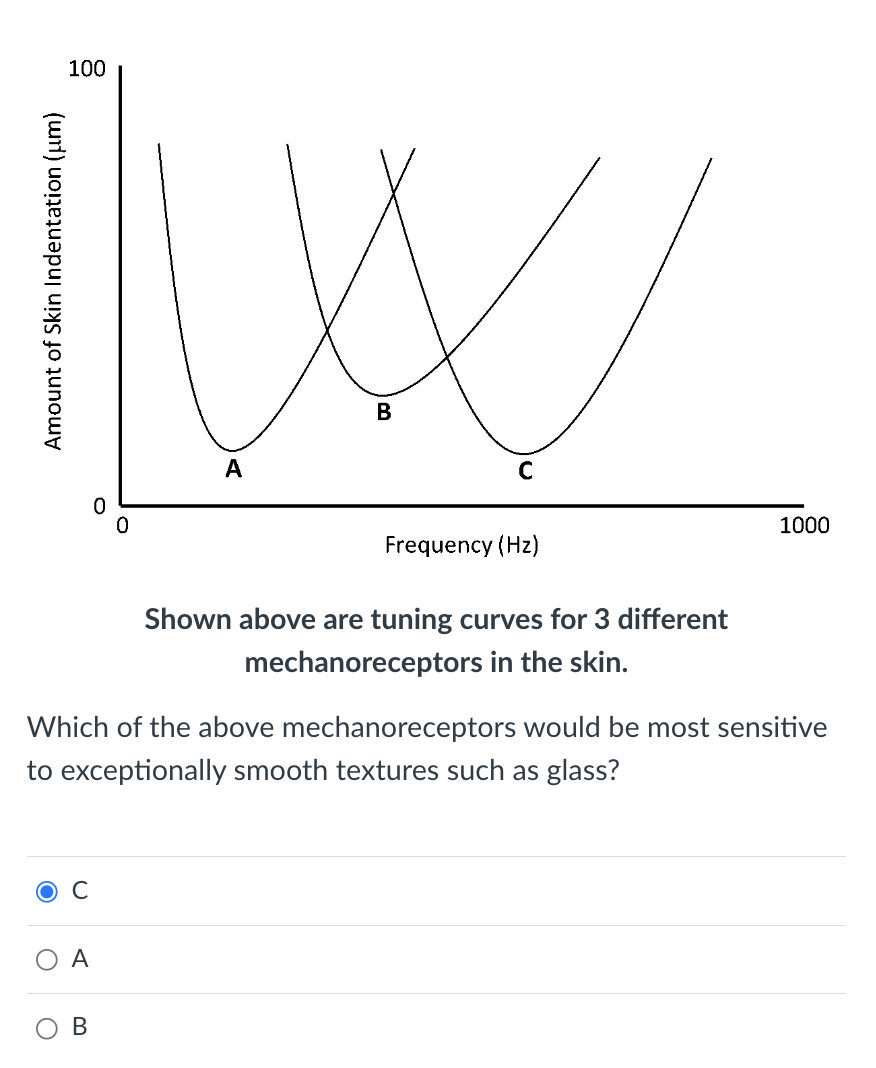 Solved Which of the above mechanoreceptors would be most | Chegg.com