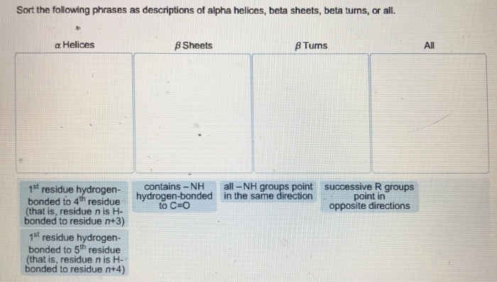 Solved Draw the resonance structure for the peptide bond | Chegg.com