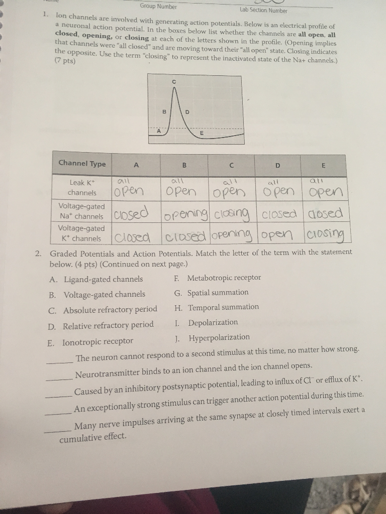 Solved Group Number Lab Section Number 1. lon channels are | Chegg.com