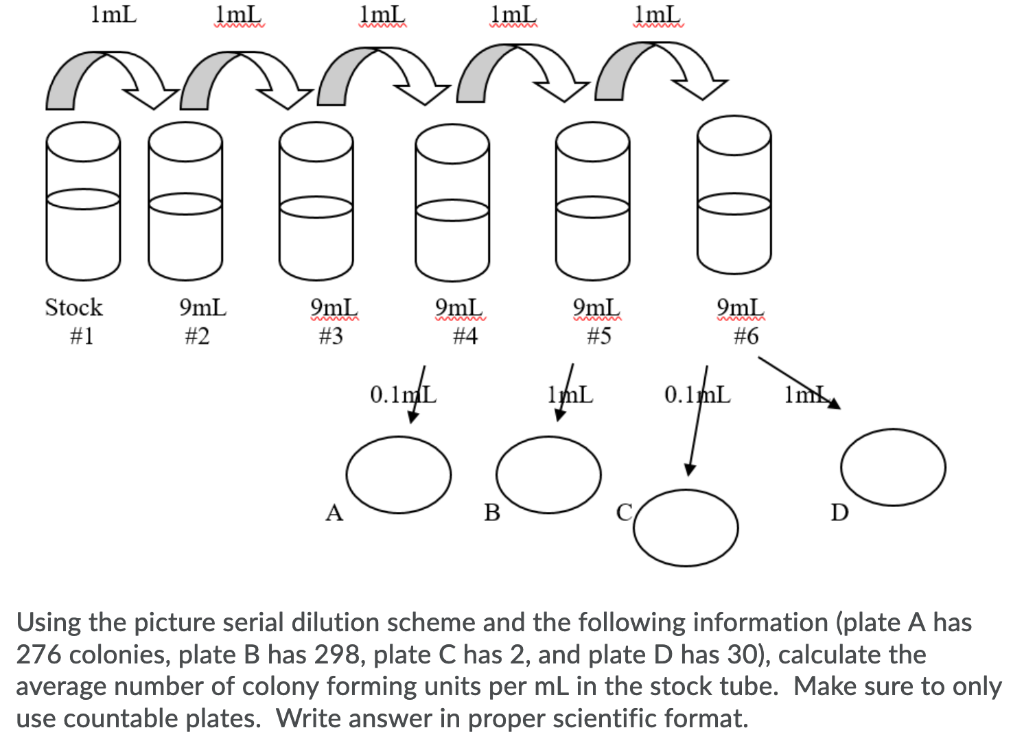 Solved 1mL Im. ImL 1mL 1mL 1mL Stock #1 9mL #2 9mL 9mL #4 | Chegg.com