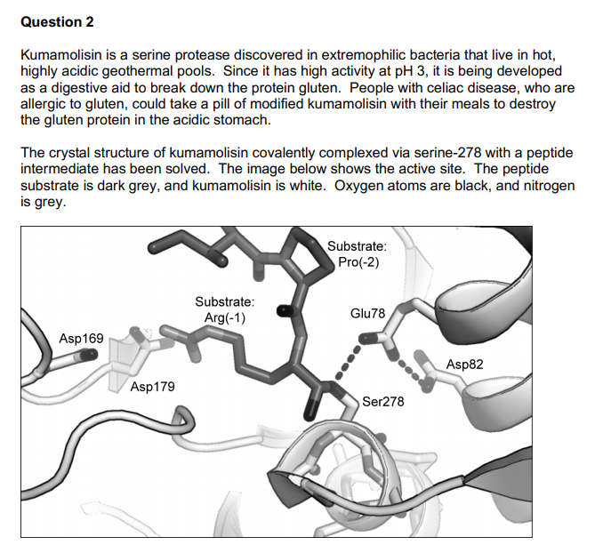 Solved Question 2 Kumamolisin is a serine protease | Chegg.com
