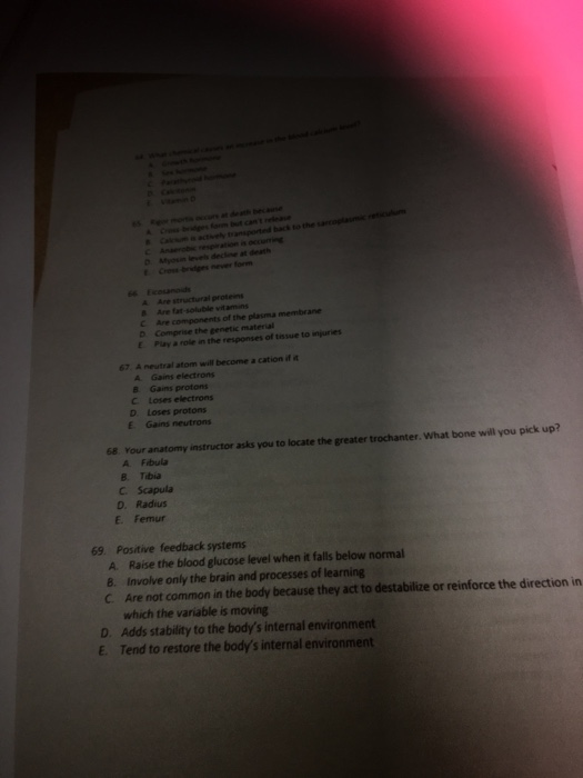 Solved 58. Ossification that involves replacing cartilage | Chegg.com