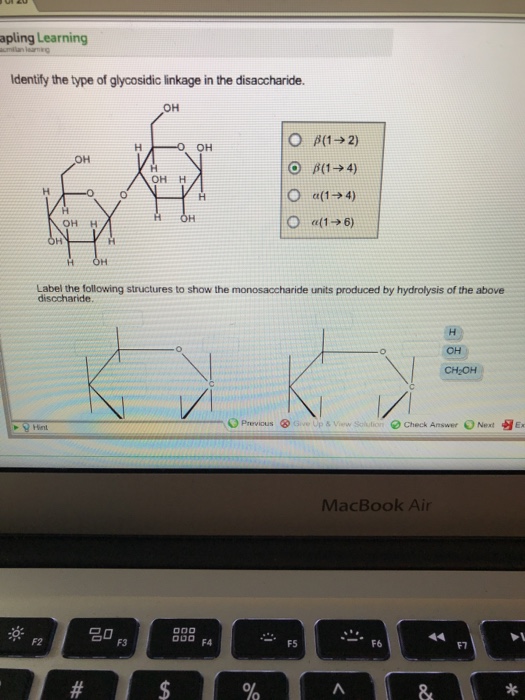 Solved apling Learning Identify the type of glycosidic | Chegg.com Solved apling Learning Identify the type of glycosidic | Chegg.com