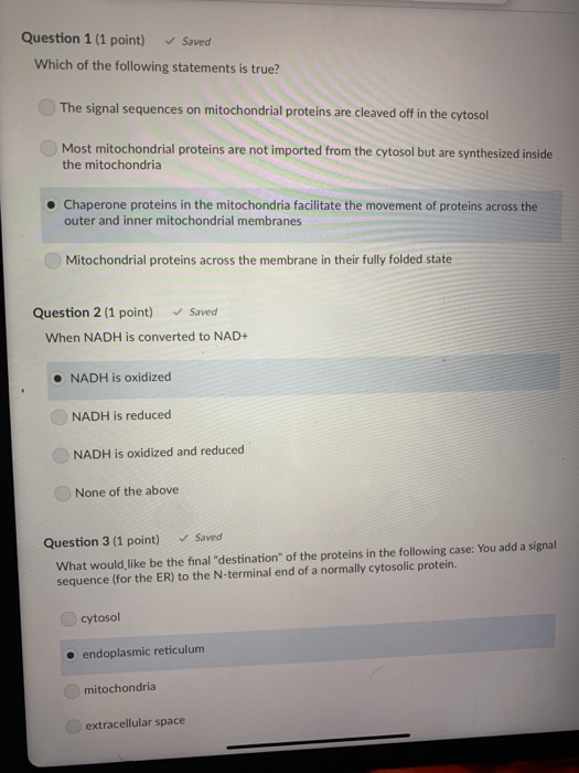 Solved Question 1 (1 point) Saved Which of the following | Chegg.com