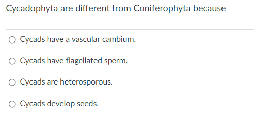 Solved Cycadophyta are different from Coniferophyta because | Chegg.com