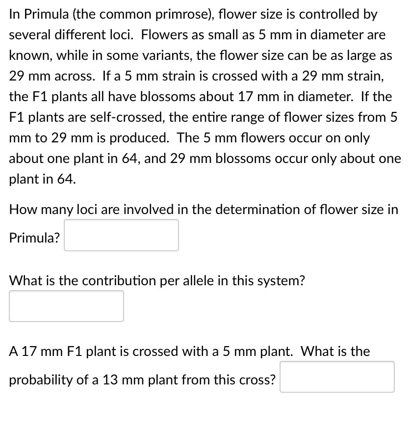 Solved In Primula (the common primrose), flower size is | Chegg.com