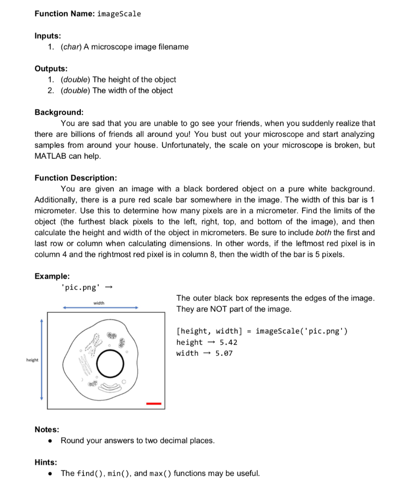 Solved Function Name: imageScale Inputs: 1. (char) A | Chegg.com