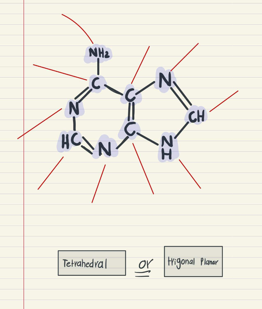 Solved Assign an electron geometry to each interior atom in | Chegg.com