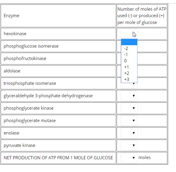 Solved Enzyme Number of moles of ATP used (-) or produced | Chegg.com