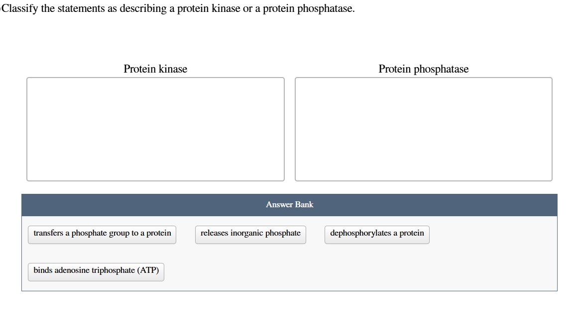 Solved Classify the statements as describing a protein | Chegg.com