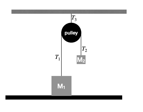 Solved The block M1 shown below has a mass of 8.0 kg rests | Chegg.com