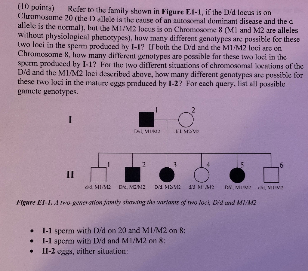 Solved How many different genotypes are possible for these | Chegg.com