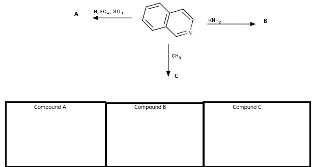 Solved A H2SO4,SO3 KNH2 B | Chegg.com