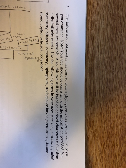 2. Use information obtained in this class to draw a | Chegg.com