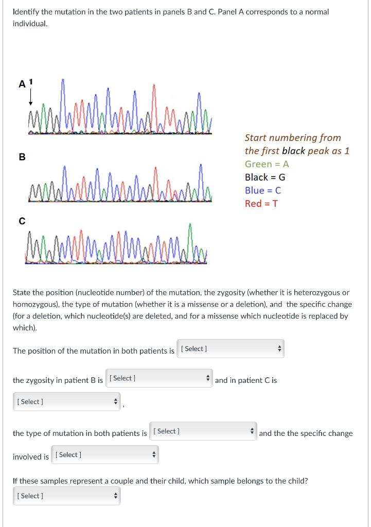 Solved Identify the mutation in the two patients in panels B | Chegg.com