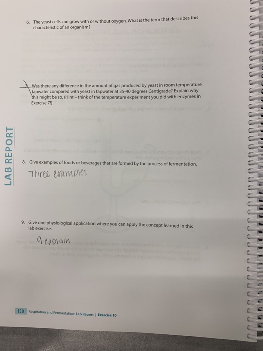 Solved EXERCISE 10: LAB REPORT Respiration and Fermentation | Chegg.com