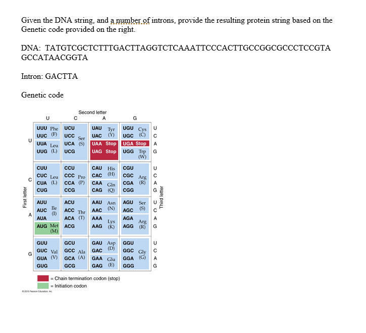 Solved Given the DNA string, and a number of introns, | Chegg.com