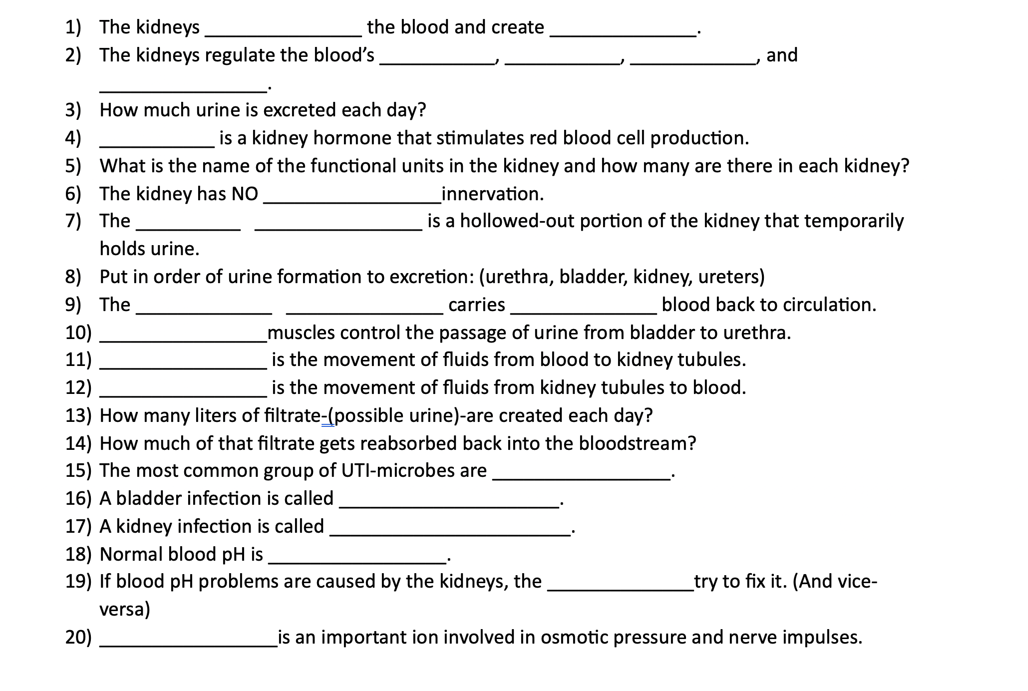 Solved 1) The kidneys the blood and create 2) The kidneys | Chegg.com