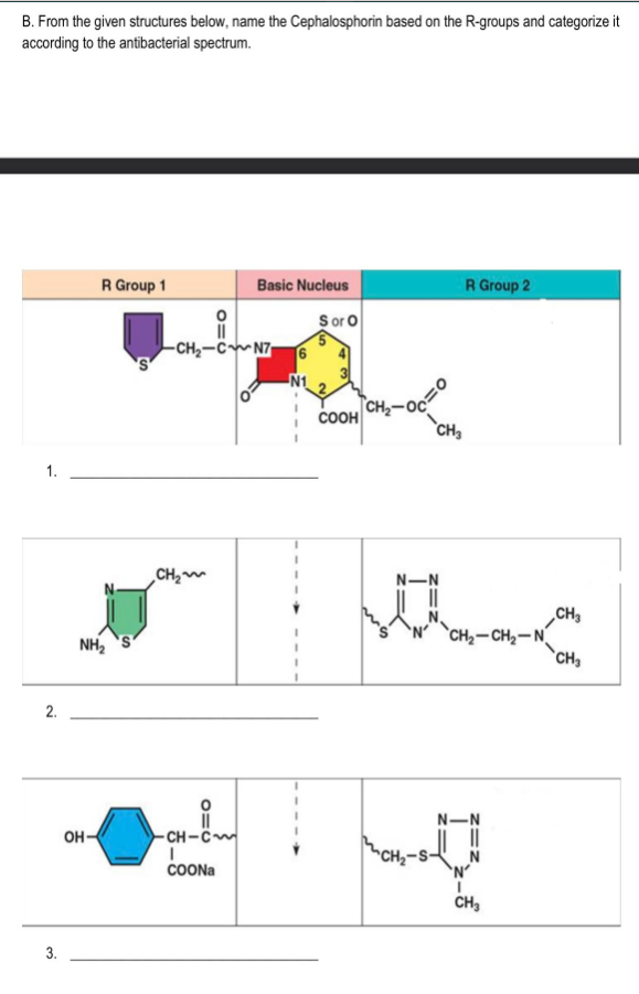 Solved B. From the given structures below, name the | Chegg.com