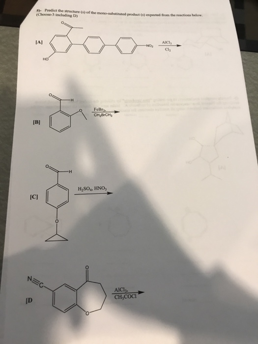 Solved s)- Predict the structure (s) of the mono-substituted | Chegg.com
