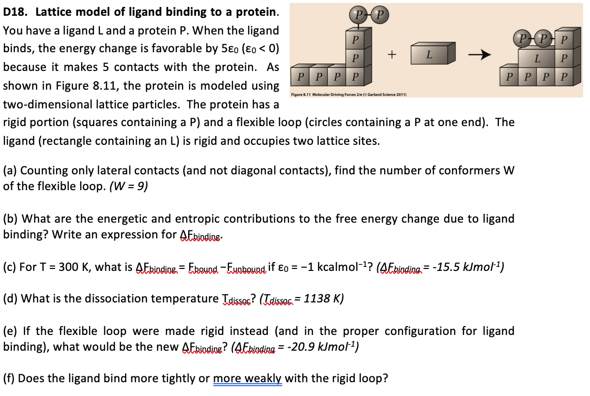 D18. Lattice model of ligand binding to a protein. | Chegg.com