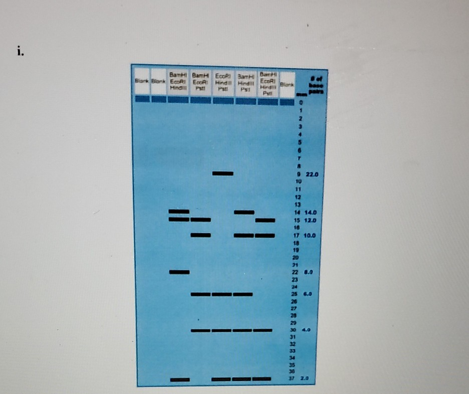 Solved 6. Construct a restriction map for each of the | Chegg.com