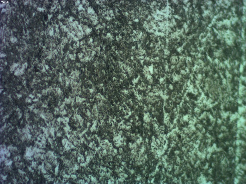 Solved TEX NS 6111:14 PM 18920- 1913 104900 seksuac. и | Chegg.com