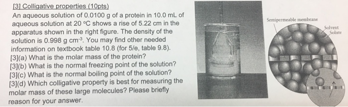 Solved An aqueous solution of 0.100 g of a protein in 10.0 | Chegg.com