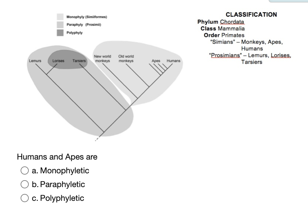 Solved Monophyly (Simiiformes) Paraphyly (Prosimi) Polyphyly | Chegg.com