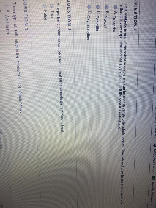 Solved MACC Mail Inbox Rate My QUESTION 1 This antibiotic is | Chegg.com