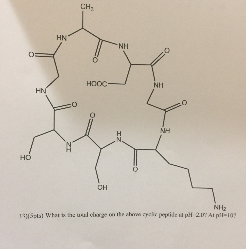 Solved CH HN NH HOOC NH HN NH HO OH NH2 33)(5pts) What is | Chegg.com