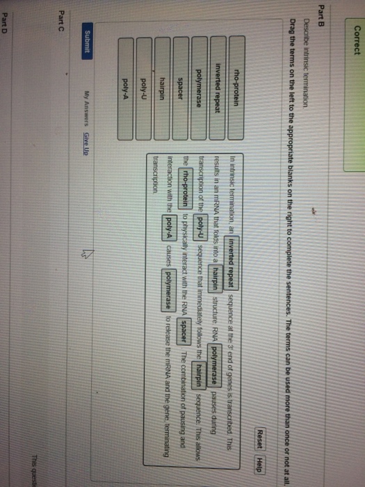 Solved Describe intrinsic termination. Drag the terms on | Chegg.com