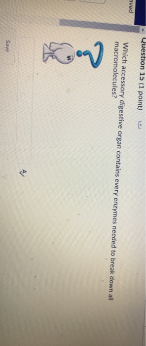 Solved ^ Question 15 (1 point) aved Which accessory | Chegg.com Solved ^ Question 15 (1 point) aved Which accessory | Chegg.com