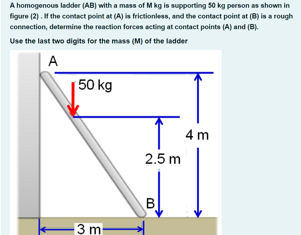 Solved A homogenous ladder (AB) with a mass of M kg is | Chegg.com