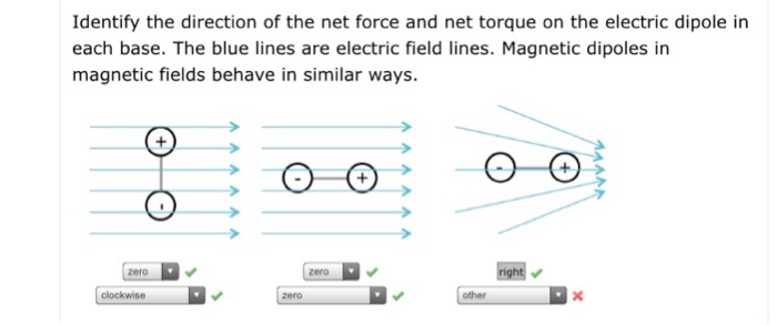 Solved Identify the direction of the net force and net | Chegg.com