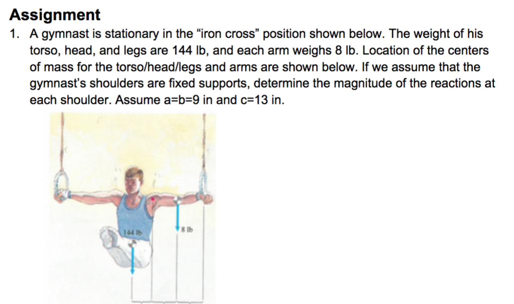 Solved Assignment 1. A gymnast is stationary in the "iron | Chegg.com