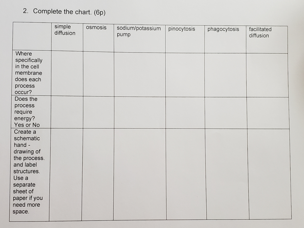 Solved 2. Complete the chart. (6p) simple diffusion osmosis | Chegg.com